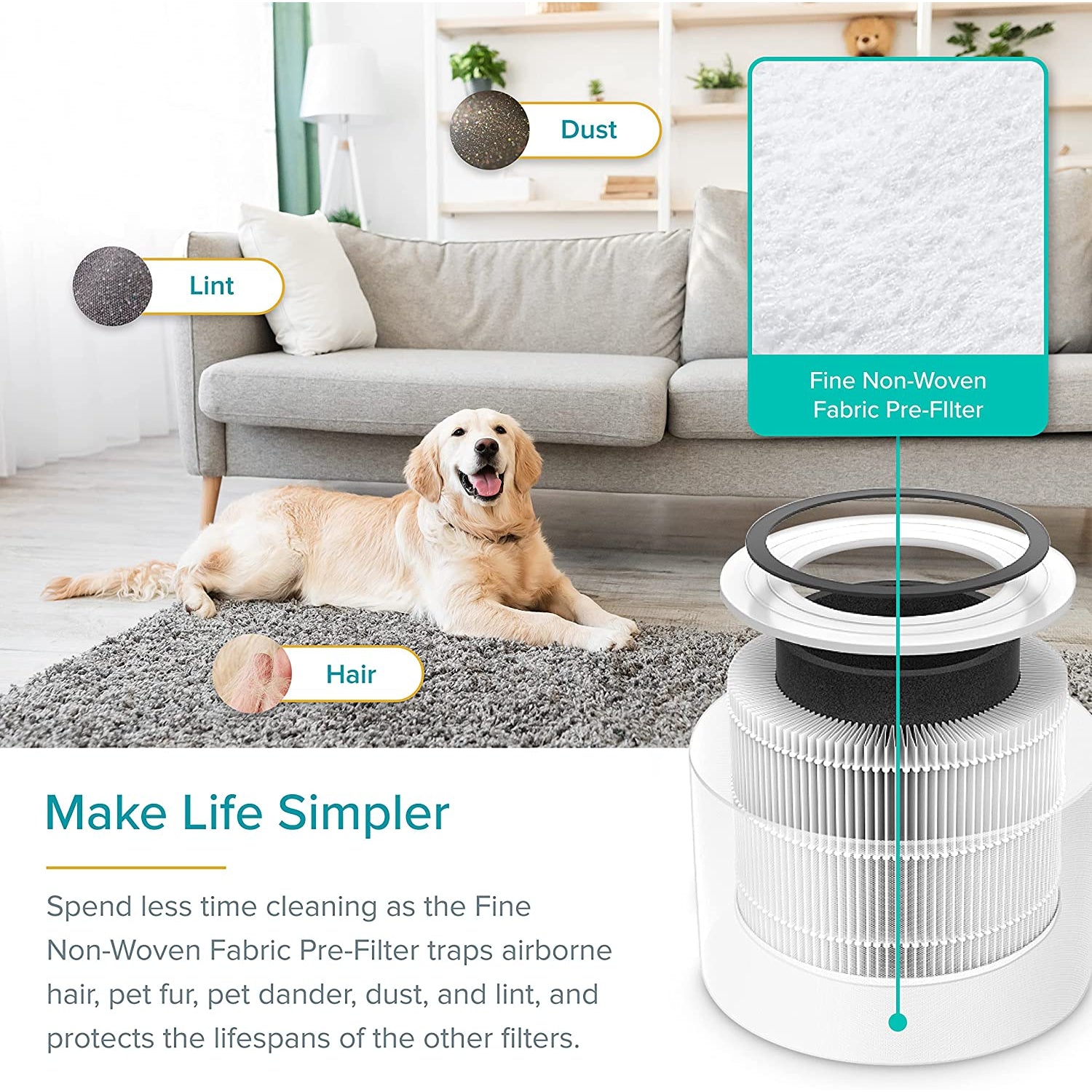 Air filter for pet hair and dust store