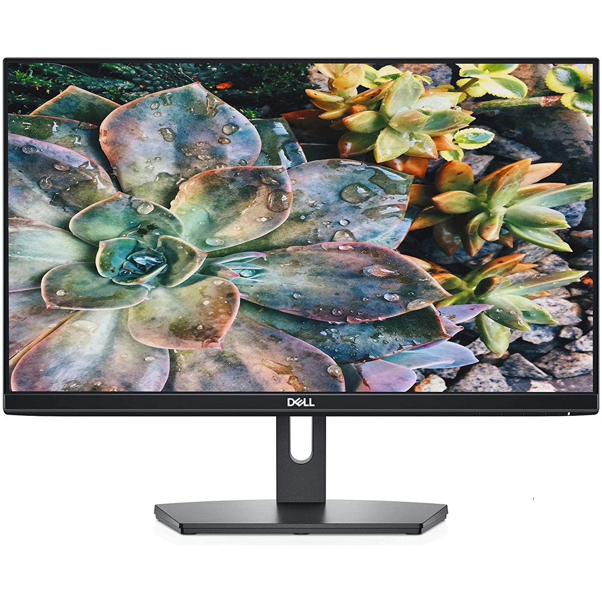 Dell SE2219H 21.5 Inch Full HD (1920 x 1080) Monitor, 60 Hz, IPS, 5 ms ...
